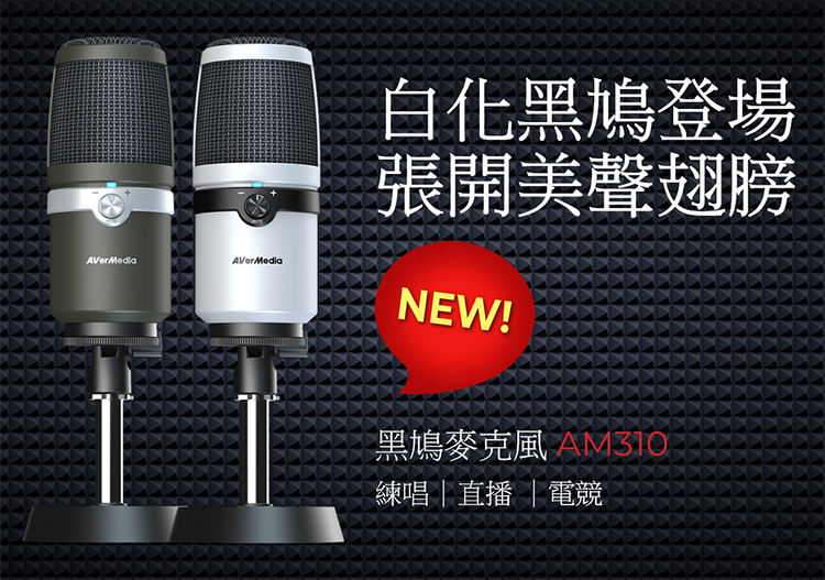 【AVerMedia 圓剛】AM310 黑鳩USB專業麥克風 白色 - PChome 24h購物